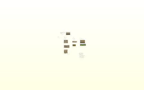 IR 344 by Evelyne Kim on Prezi