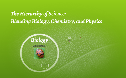 The Hierarchy of Science: by Yeshar Hadi on Prezi