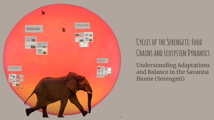 Cycles of the Savanna: Food Chains and Ecosystem Dynamics by Evan ...