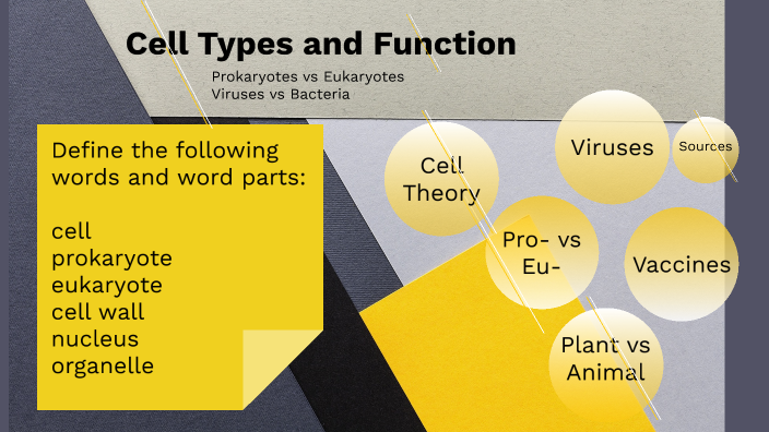 Cell Types and Function by Samantha Norris on Prezi