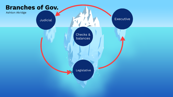 Three Branches Infographic (Review) by Ashton Akridge on Prezi