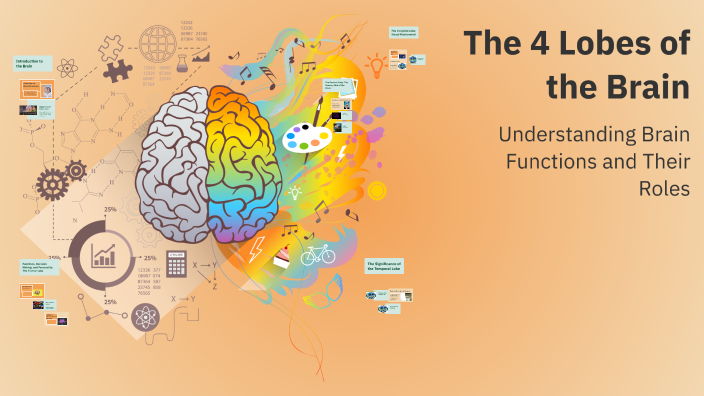 The 4 Lobes of the Brain by Mondip Chapagai on Prezi