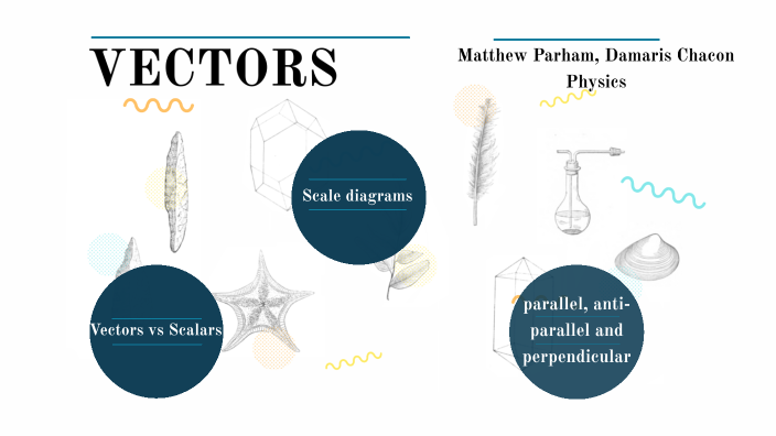 Vectors by Matthew Parham on Prezi