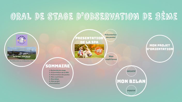 STAGE D'OBSERVATION EN ENTREPRISE by Vincent MONIER on Prezi