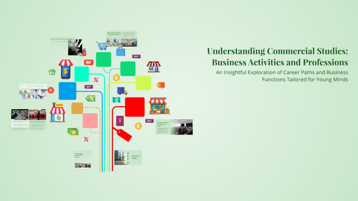 Understanding Commercial Studies: Business Activities and Professions ...