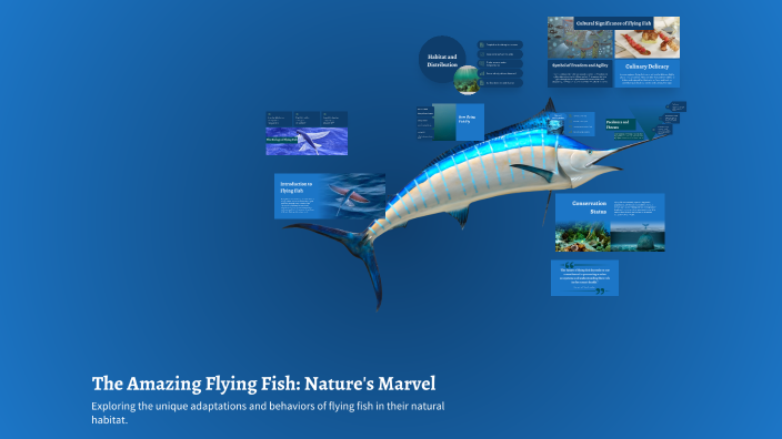 The Amazing Flying Fish: Nature's Marvel by elijah reitz on Prezi