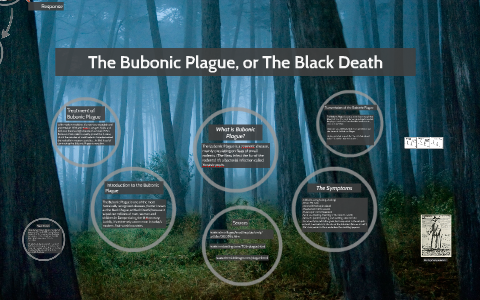 The Bubonic Plague, or The Black Death by Evelyn Yielding on Prezi