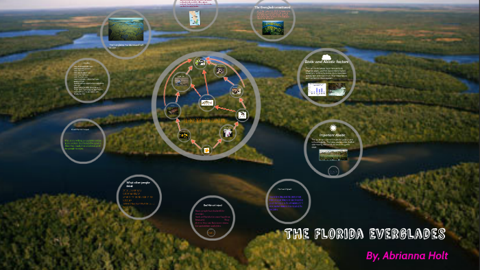 The Florida Everglades by Abrianna Holt on Prezi