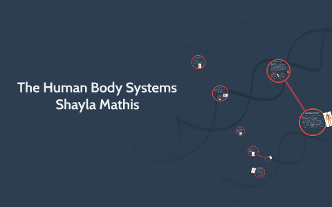 The Human Body Systems by Shayla Mathis on Prezi
