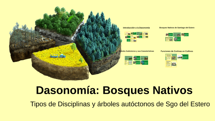 Dasonomía: Bosques nativos by Luci Palavecino on Prezi