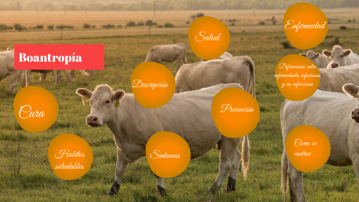 Boantropía by Daniel Agarto on Prezi