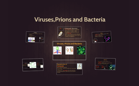 Viruses, Prions and Bacteria by Hannah Freeman
