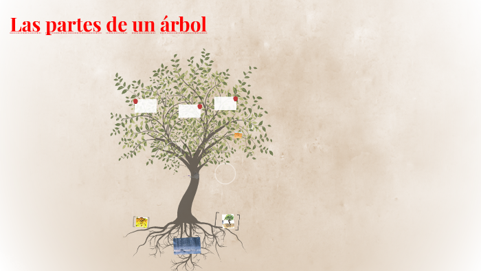 Las partes de un árbol by HERNAN ALEJANDRO SANDOVAL NAVARRETE on Prezi