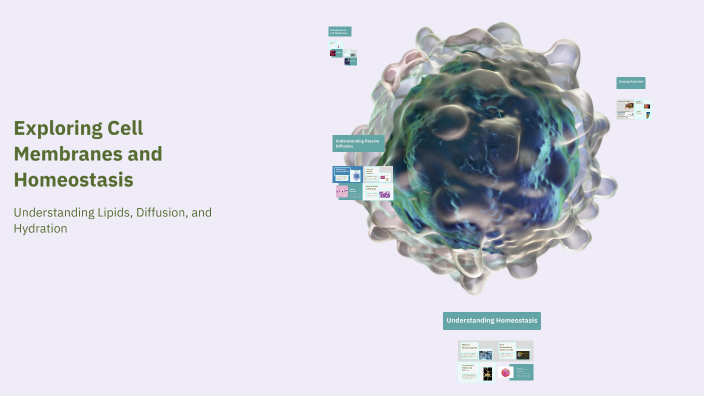 Exploring Cell Membranes and Homeostasis by Federico Gomez on Prezi