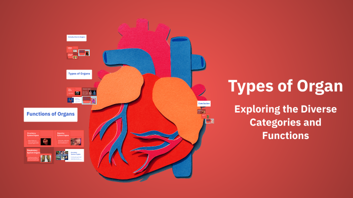 Types of Organ by Retchiel Miro on Prezi