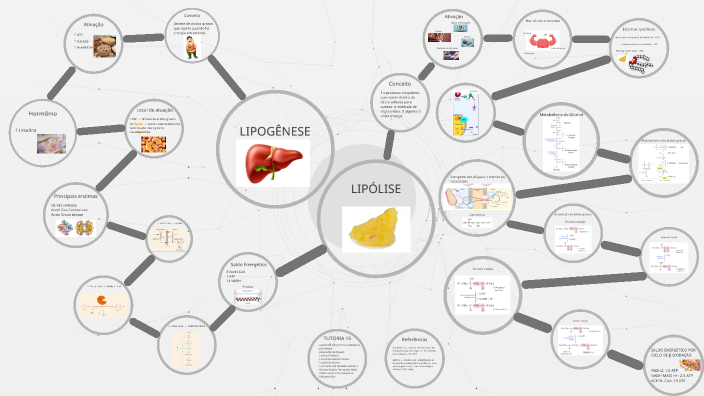 lipólise by MOISEIS MAIA on Prezi