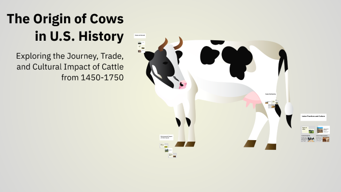 The Origin of Cows in U.S. History by Melina Garcia on Prezi