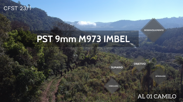 desmontagem e montagem da pts 9mm 973 imbel by gabriel camilo on Prezi