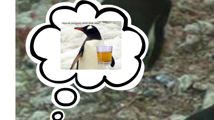 How to penguins drink their cola? by Debbie Winton on Prezi