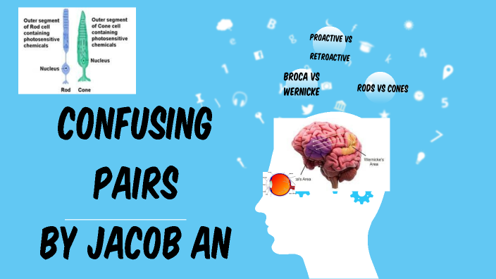 Confusing Pairs of psychology terms by Jacob An on Prezi