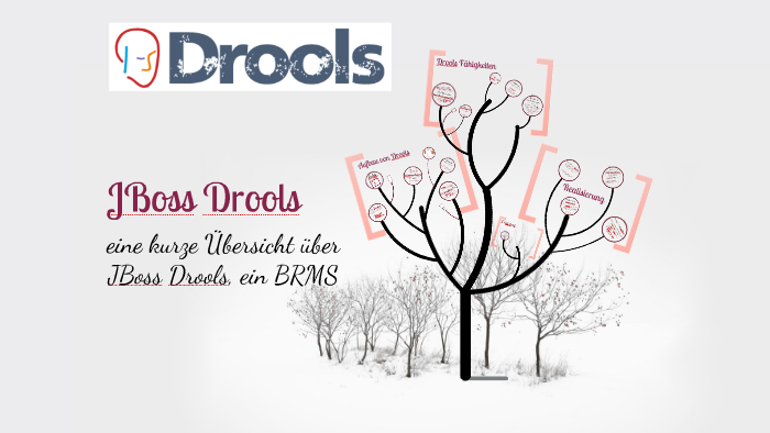JBoss Drools BRMS by Chris Kramer on Prezi