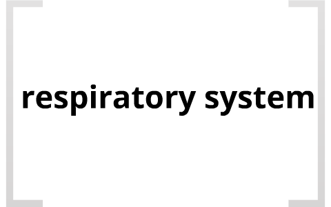respiratory system by gabriel magallan on Prezi