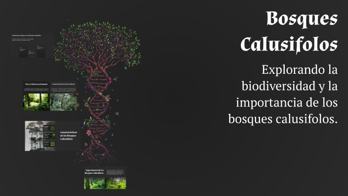 Bosques Calusifolos by Emily Narváez on Prezi