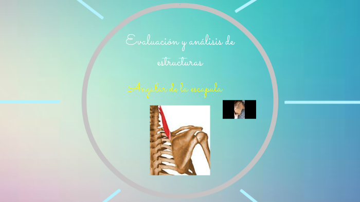 Angular de la escapula by Isabel Gil on Prezi