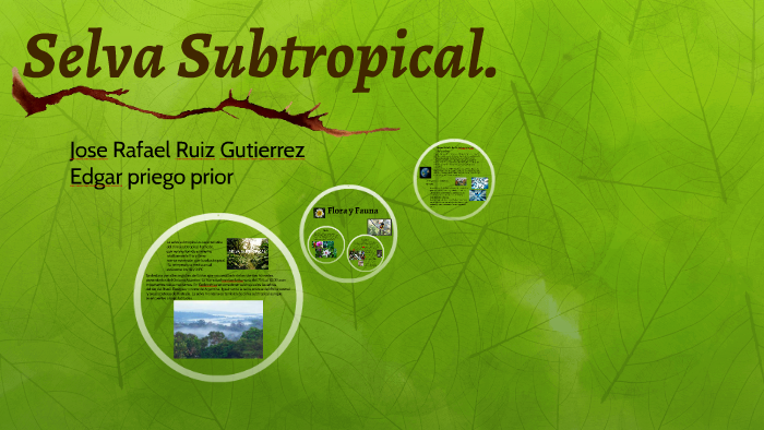 Selva Subtropical. by rafael ruiz on Prezi