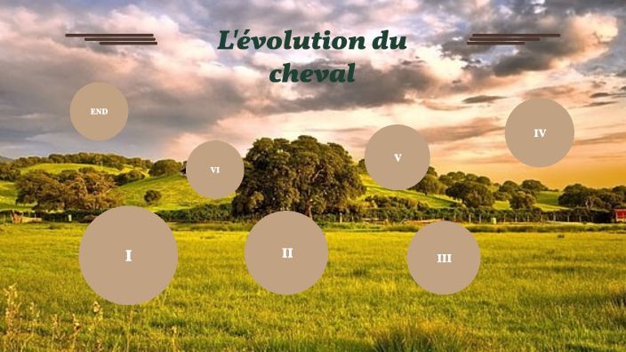 L'évolution du cheval by Hawa Hasssan on Prezi