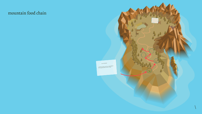 mountain food chain by justin seventy on Prezi