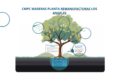 CMPC MADERAS PLANTA REMANUFACTURAS LOS ANGELES by Claudita Torres on Prezi