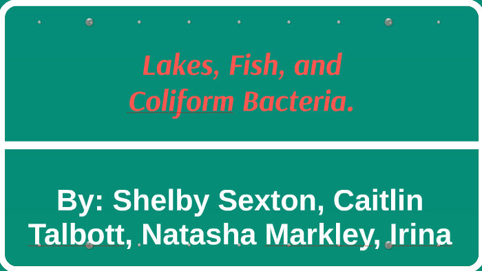 By: Shelby Sexton, Caitlin Talbott, Natasha Markley, Irina by shelby ...