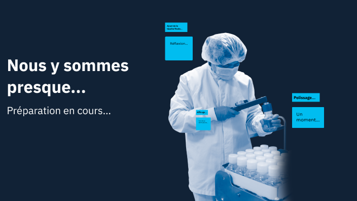 Les Différents Statuts Professionnels by Bruno NORMAND on Prezi