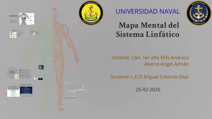 Mapa Mental del Sistema Linfático by Adrian Andraca on Prezi