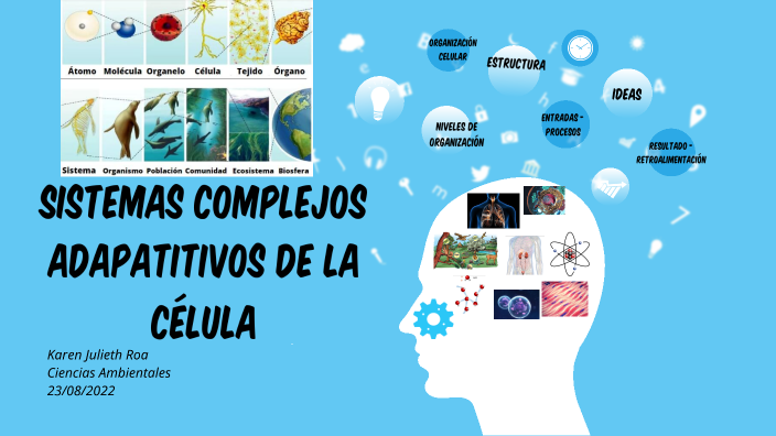 Sistema complejo Adaptativo de la Célula by Paula Roa on Prezi