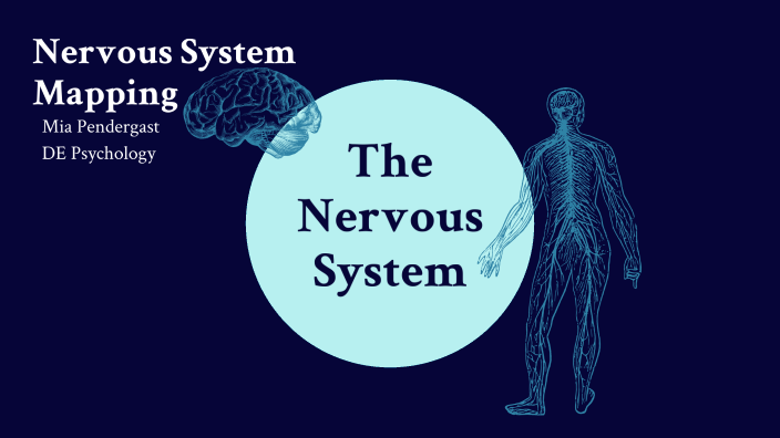 Mapping of the Nervous System by MIA PENDERGAST on Prezi