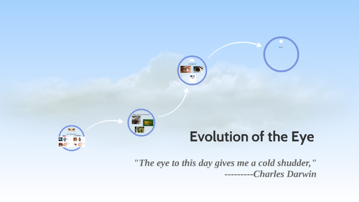 Evolution of the Eye by minxue tan on Prezi