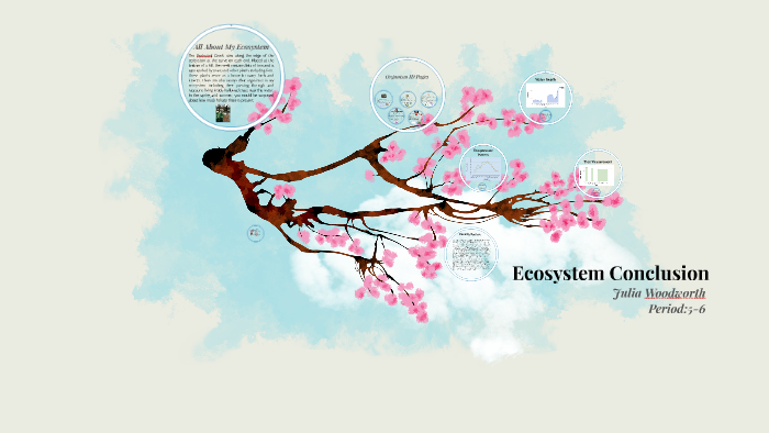 Ecosystem Conclusion by Julia Woodworth on Prezi