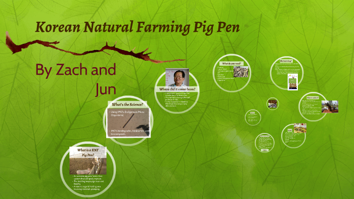 Korean Natural Farming Pig Pen by zachary tahara on Prezi