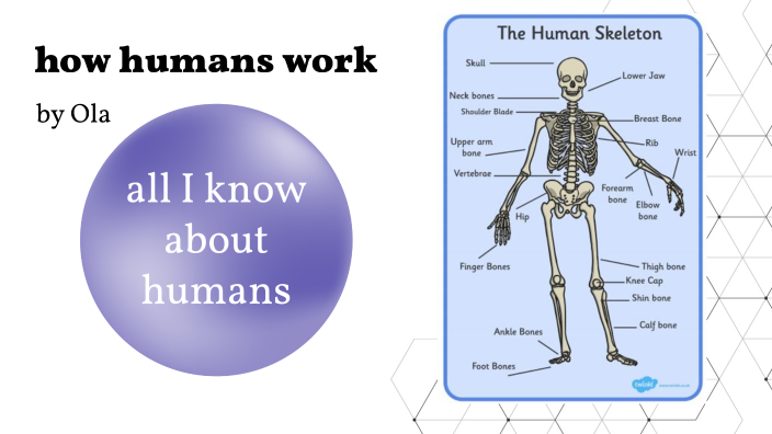 how humans work by Alexandra Skaggs on Prezi