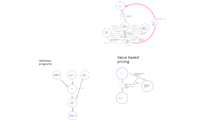 Health Insurance Market Structure by Elena Voeten on Prezi