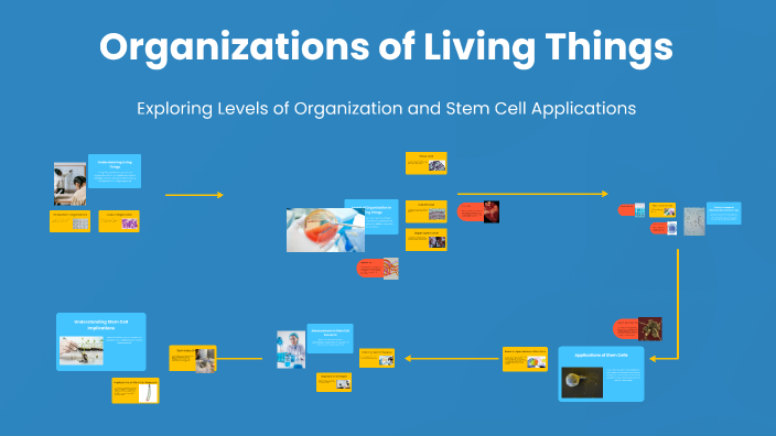 Levels of Organization in Living Things by alexander resendiz on Prezi