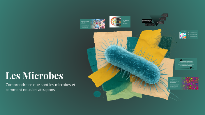 Les Microbes by Emna Ben Ali on Prezi