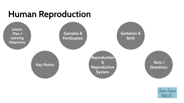 KS3 Human Reproduction by Burnadette Ilies on Prezi