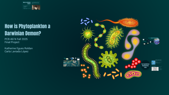 PCB 4674 Final Project by Carla Lavida on Prezi