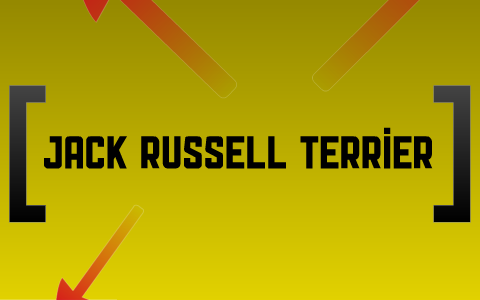 Jack Russell by Magdalena Roos on Prezi