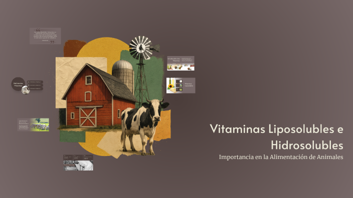 Vitaminas Liposolubles e Hidrosolubles by Mairim Elizabeth Cota Zavala ...