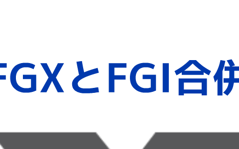 FGI and FGX by Chiaki Free on Prezi