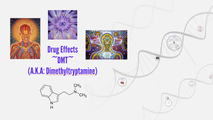 Effects of DMT on the brain & body by Keely Austin on Prezi